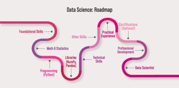 Data Science Roadmap for Beginners 2025-Skills, Tools, Courses & Career ...